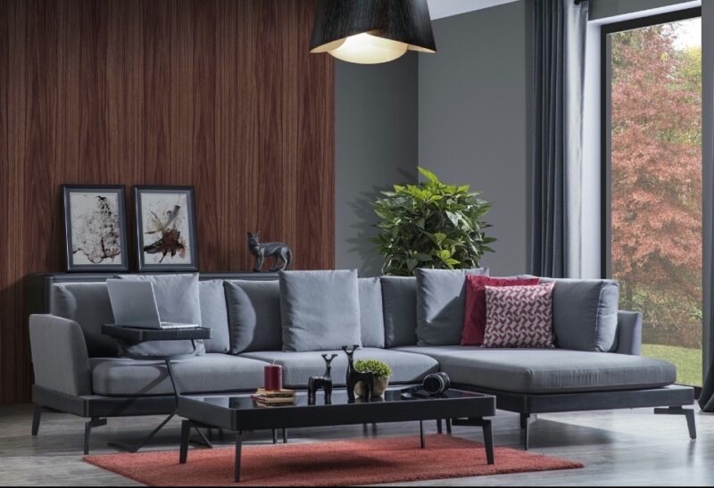 Antrasit Koltuk Takımına Hangi Renk Halı Gider? - Güzel Oldu