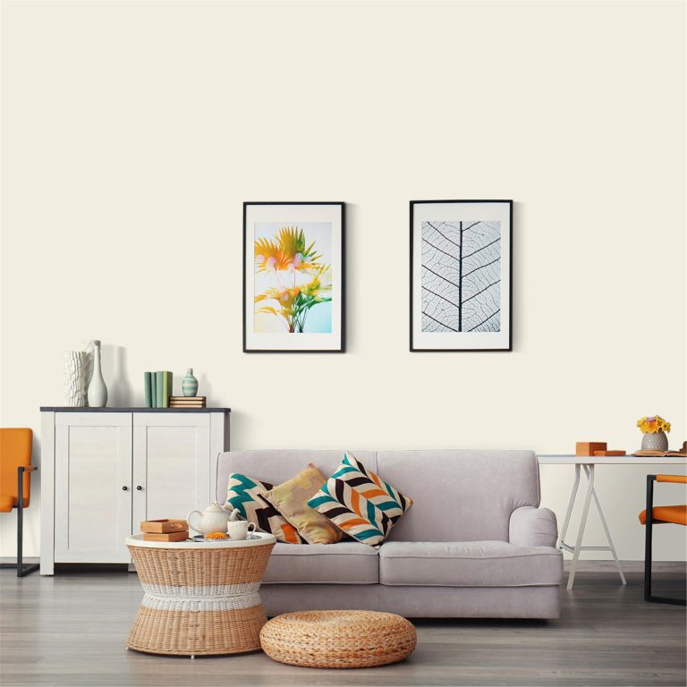 Marshall En Çok Tercih Edilen Renkler | 5 Harika Öneri